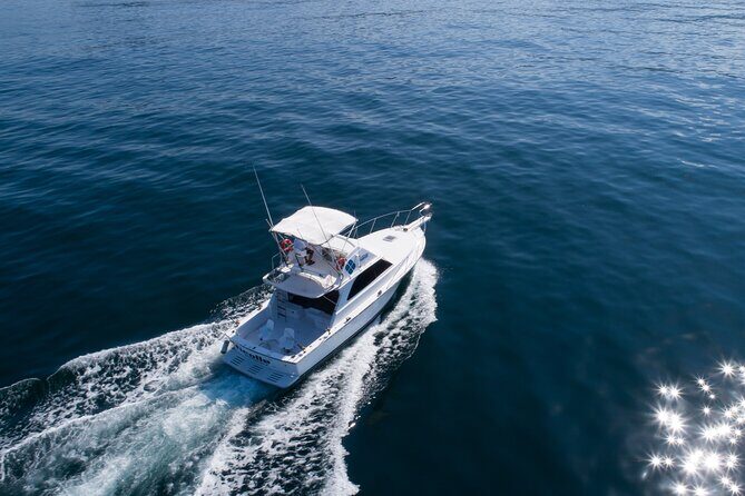 Bertram 38' Convertible Boat in Puerto & Nuevo Vallarta - The Sum Up: Who Will Love This Tour?