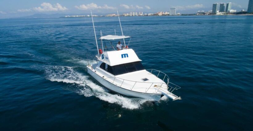 Bertram 38' Convertible Boat in Puerto & Nuevo Vallarta - Authentic Experiences and Traveler Feedback
