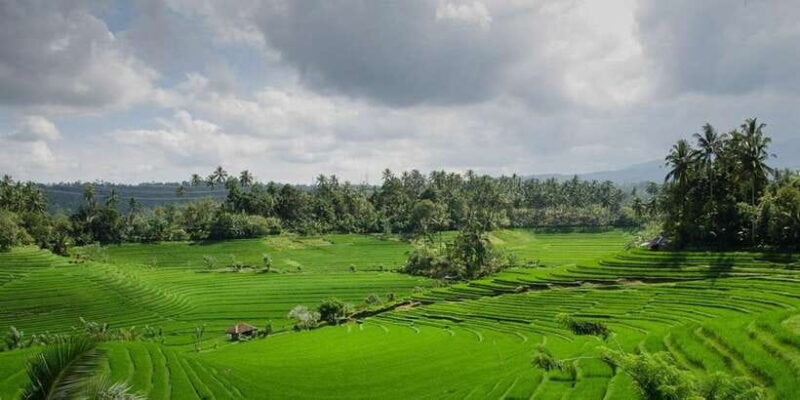 Besakih Temple : Penglipuran, Semarapura Palace /Private Day - Key Points