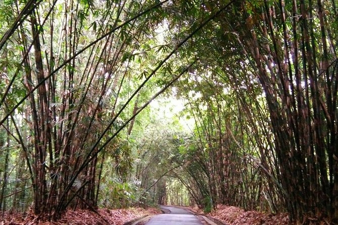 Besakih Temple Tour - Traditional Bali Village - All Inclusive - What’s Included and What to Know