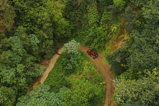 Bespoke adventure in Madeira with pick-up - Frequently Asked Questions