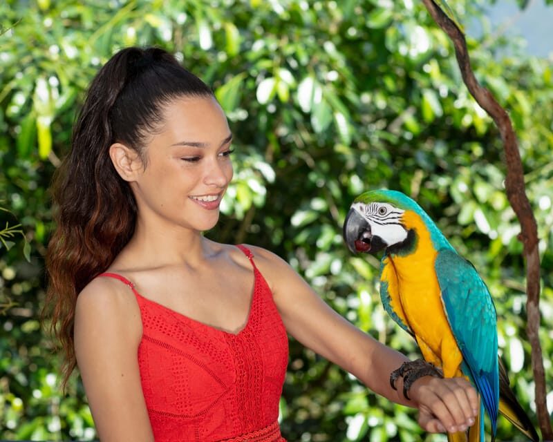 Bespoke Birdworld - An Intimate Experience! - Key Points