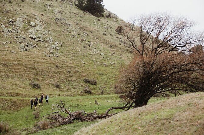 Bespoke Guided High Country Hiking - The Sum Up: Who Should Consider This Tour?
