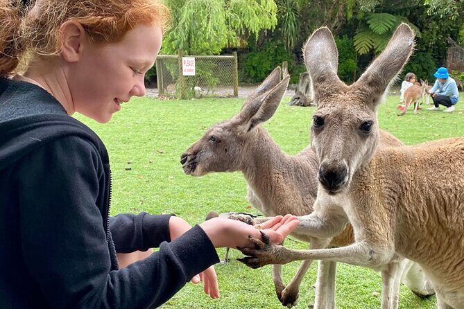 Bespoke Perth City and Surrounds Day Tour - Exploring the Itinerary in Detail