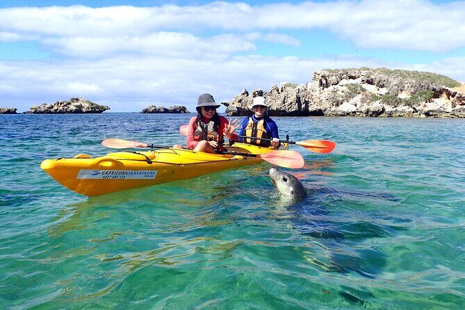 Bespoke Perth City and Surrounds Day Tour - Who Should Consider This Tour?
