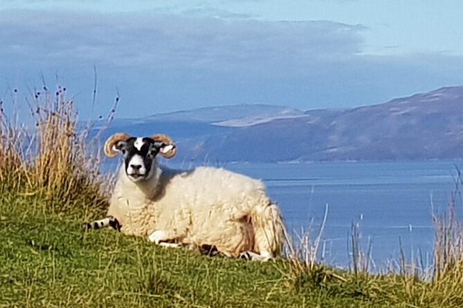 Bespoke Private Tours of Scotland and the Borders - Discover Scotlands Hidden Gems With Tailabout Tours