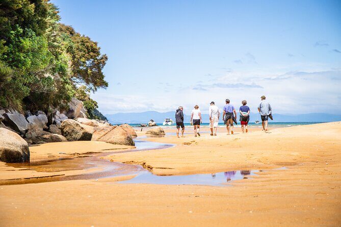 Best Abel Tasman Day trip - An In-Depth Look at the Abel Tasman Day Trip