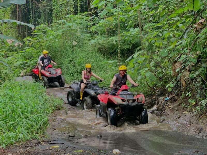 Best Bali ATV Quad Bike Ubud~Waterfall Tour And Tranfers - Key Points