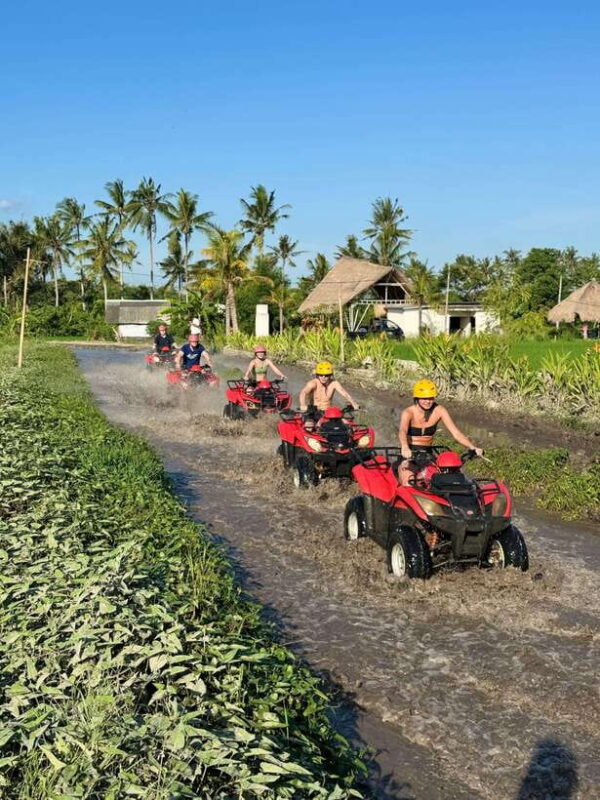 Best Bali ATV Quad Bike Ubud~Waterfall Tour And Tranfers - What Makes This ATV Tour Stand Out?