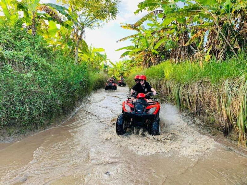 Best Bali ATV Quad Bike Ubud~Waterfall Tour And Tranfers - The Itinerary: What to Expect Throughout Your Day