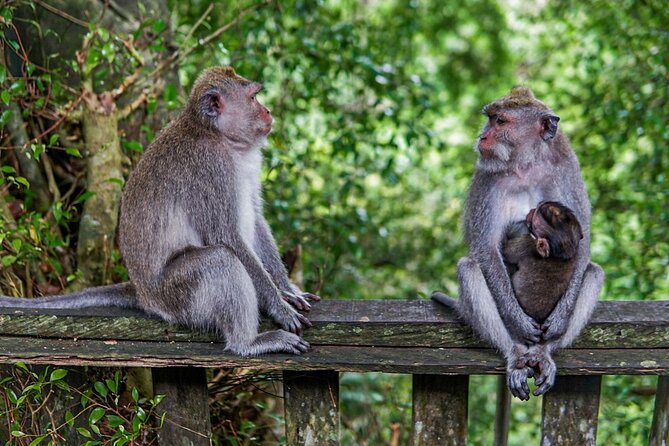 Best Bali Day Tour - Why This Tour Offers Great Value