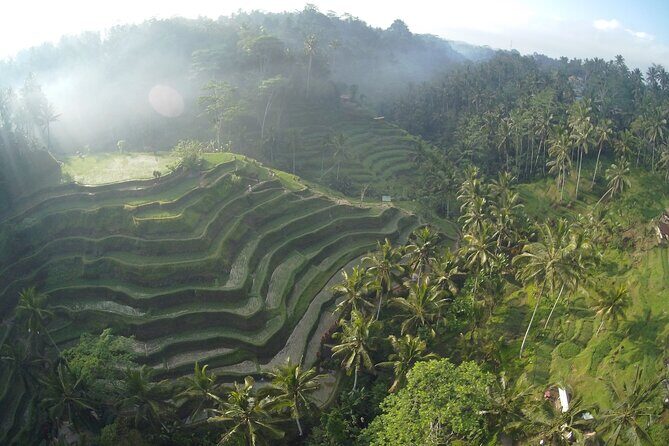 Best Bali Private Full Day Tour to Visit Ubud Village - Kintamani Batur Volcano - An In-Depth Look at the Tour