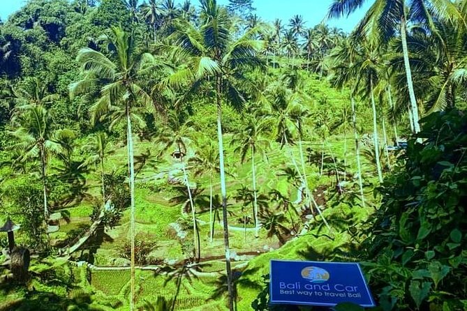 Best bali transport service - custom your own itinerary - Authentic Experiences and Authenticity