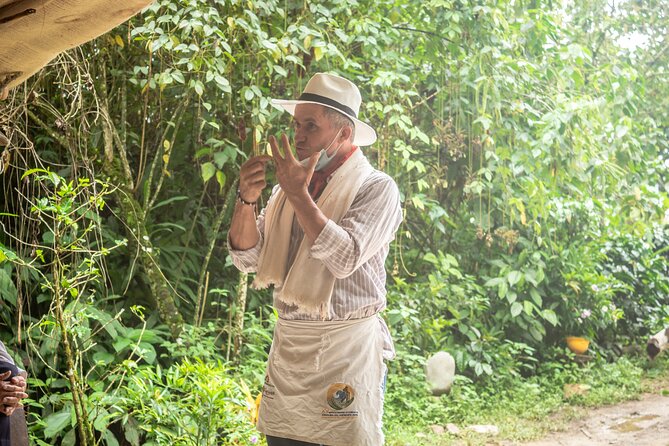 Best Coffee Tour From Medellin With Lunch and Transportation - Savoring the Flavors of Medellins Best Coffee