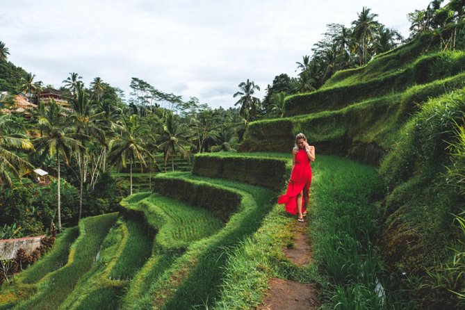 Best Day Trip in Bali - The Value and Practical Considerations