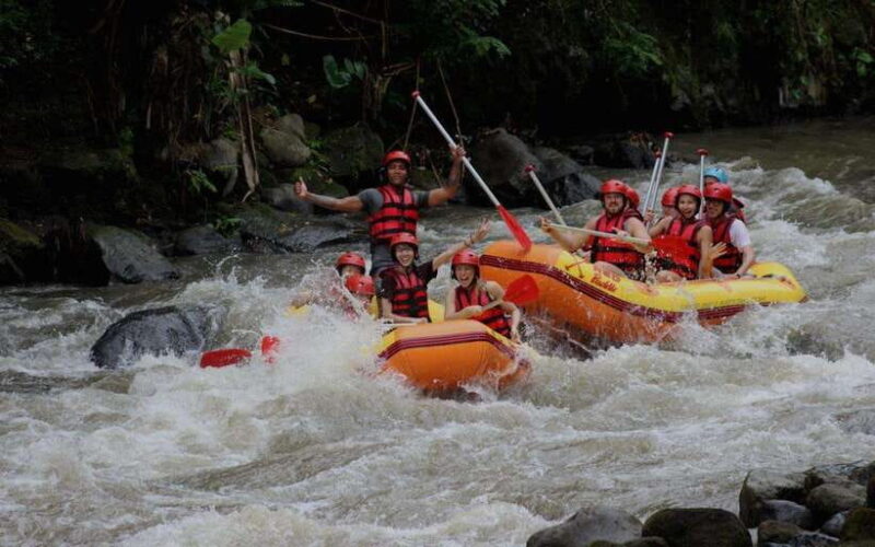 Best Deal Bali Rafting All-Inclusive - Key Points