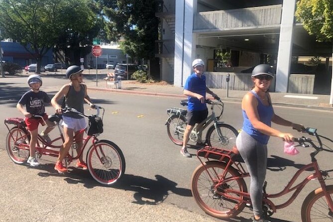 Best E-Bike Rental! Wine Country Fun - Customer Experiences