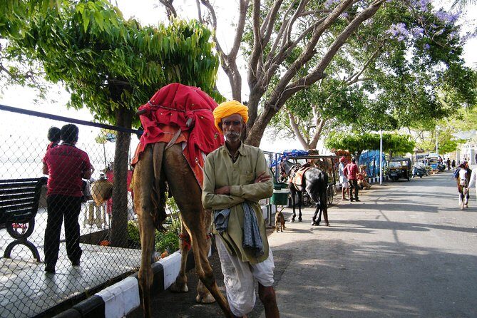 Best Golden Triangle with Royal Rajasthan private tour - Detailed Tour Review