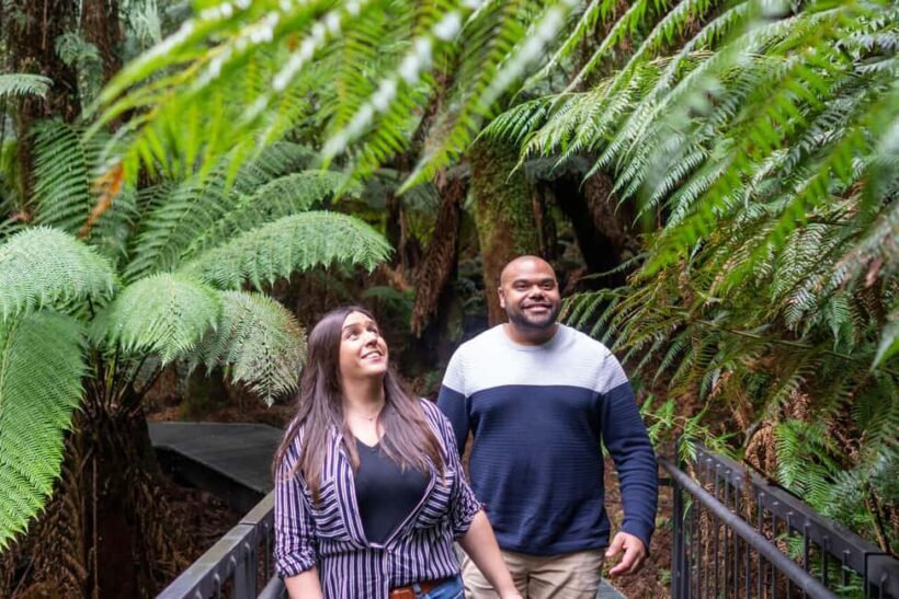 Best Great Ocean Road & 12 Apostles - Multilingual Languages - What Travelers Can Expect & Why It Matters