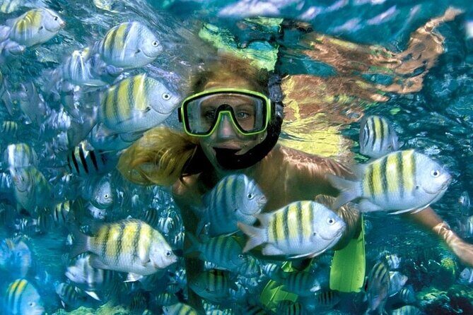 Best half-day snorkel tour: visit Kaan Luum, Yalku & Cenote - The Cenotes: Luna y Sombra