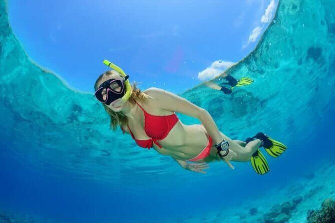 Best half-day snorkel tour: visit Kaan Luum, Yalku & Cenote - FAQs