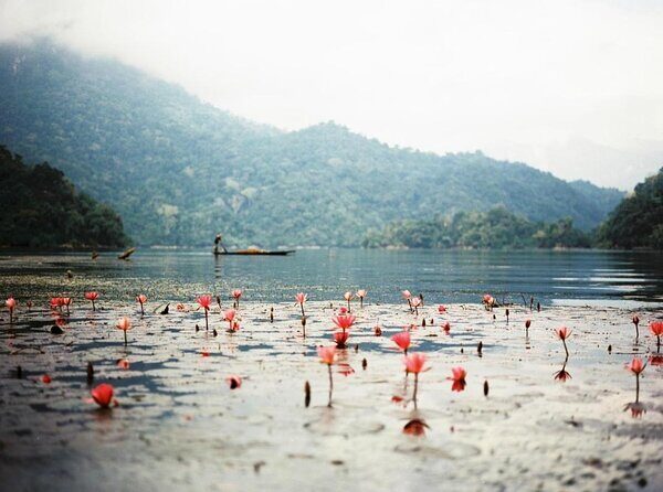 Best Hanoi - Ba Be Lake 3 Days 2 Nights Tour - Discover the Best Hanoi - Ba Be Lake 3 Days 2 Nights Tour