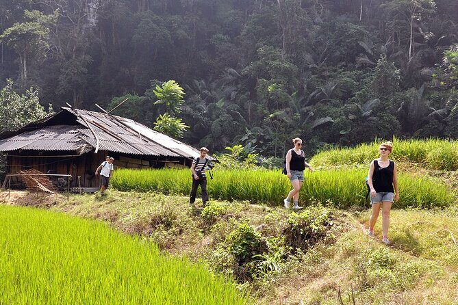 Best Hanoi - Ba Be Lake 3 Days 2 Nights Tour - The Sum Up