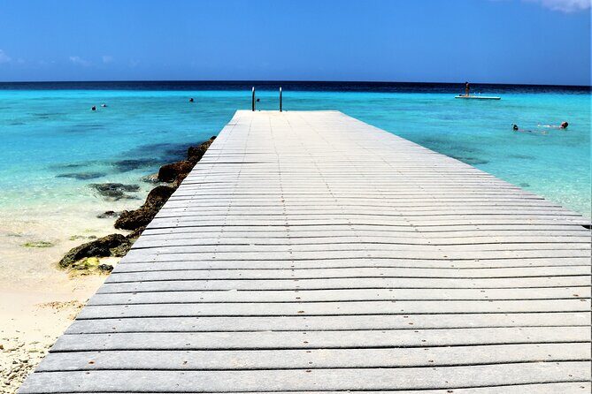 Best Highlight Island Tour - Perfect Day Tour. Small group Tour - FAQ: Your Practical Questions Answered