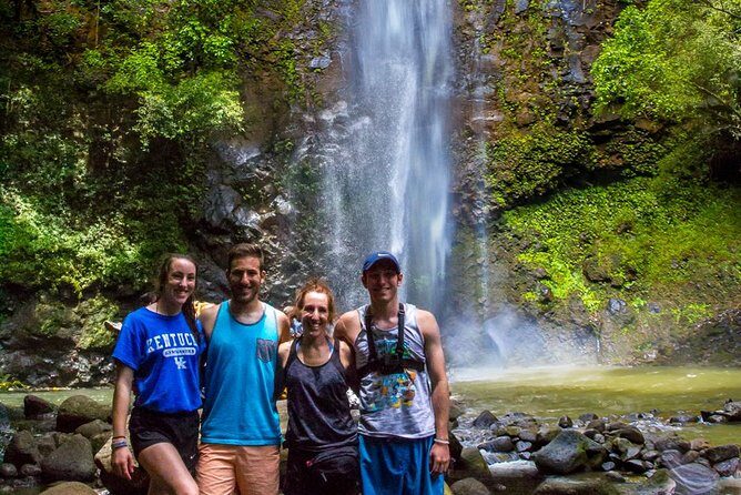 Best hikes Kauai - Exploring the Kauai Jungle: What to Expect
