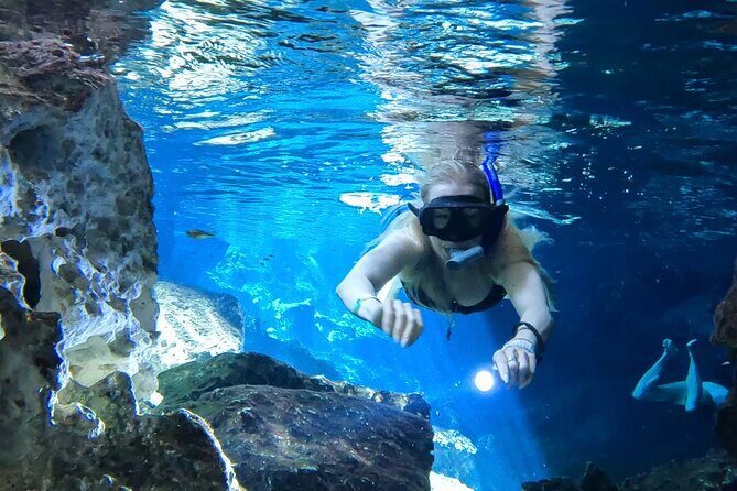 Best in Class: Private Snorkeling Xpedition - Reviews and Real Traveler Insights