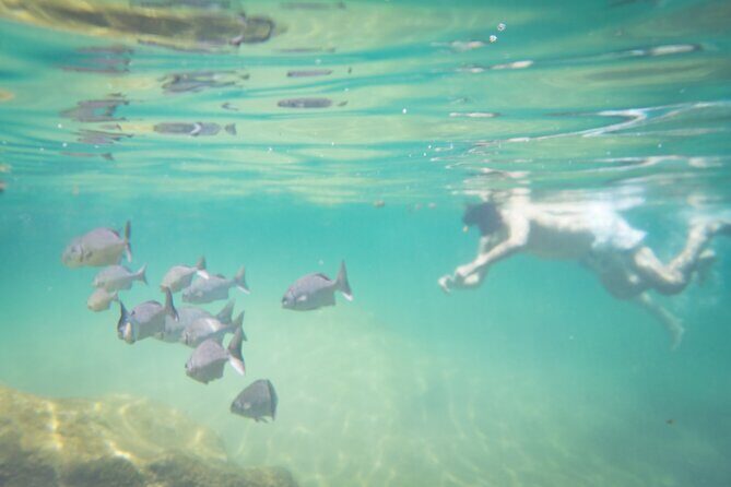 Best in Class: Private Snorkeling Xpedition - Final Thoughts: Who Should Consider This Tour?