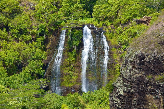 Best Kauai Northeast, Fern Grotto River Cruise & Lighthouse Tour - Fern Grotto River Cruise