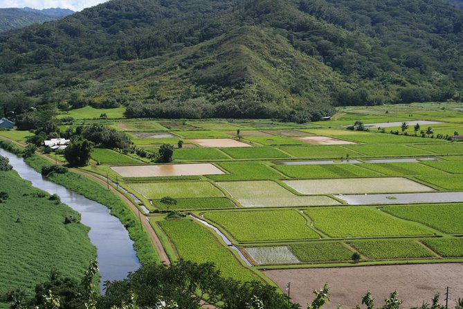 Best Kauai Northeast, Fern Grotto River Cruise & Lighthouse Tour - Traditional Hawaiian Hula Show