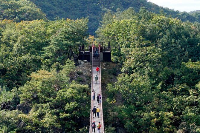 Best Korea DMZ Private Tour from Seoul (and Suspension Bridge) - What Travelers Are Saying: Authentic Perspectives