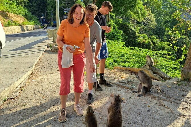 Best Lombok Monkey Forest with Benang Kelambu Waterfall - What to Expect in Terms of Logistics and Value