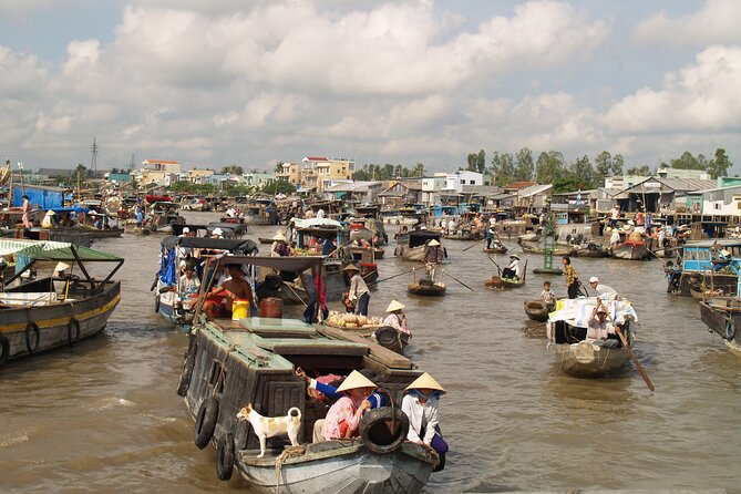 Best mekong delta bike tour - Value and Practical Considerations
