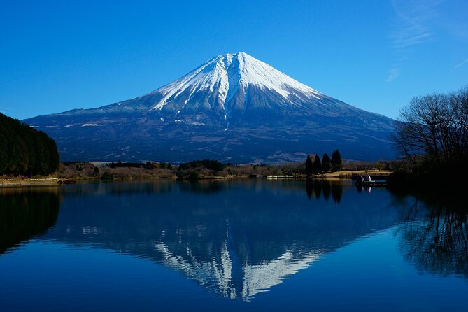 Best Mt Fuji and Hakone Full-Day Bus Tour From Tokyo - Tour Schedule and Duration