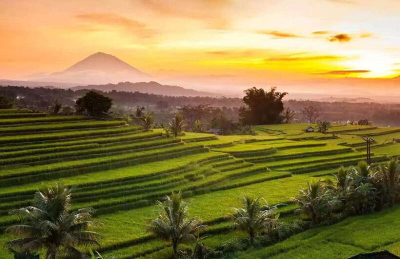 Best Northern Side Of Bali Privat Day Tour - Key Points