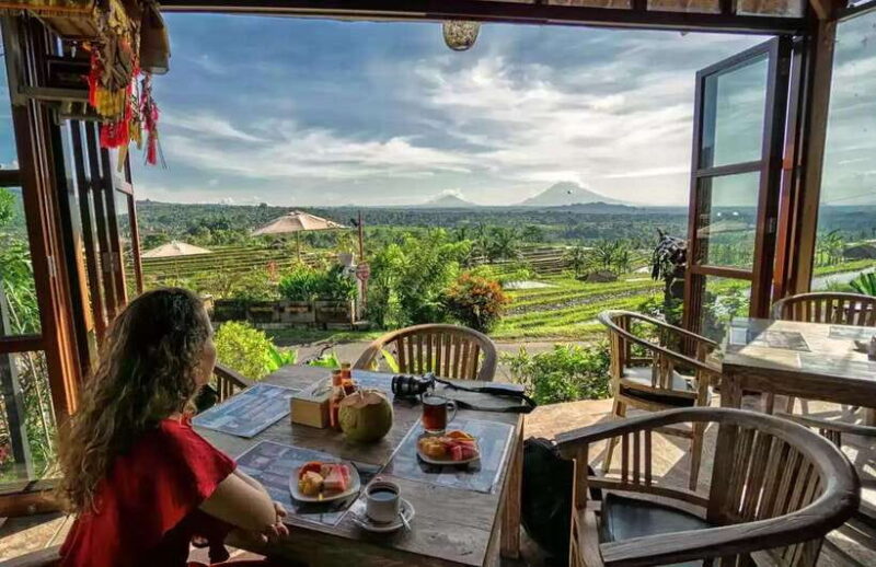 Best Northern Side Of Bali Privat Day Tour - Practical Details and What You Should Know