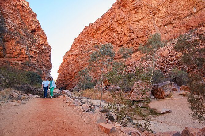 Best of Alice Springs Full Day Tour - Royal Flying Doctor Service Museum: Lifesaving in Remote Australia