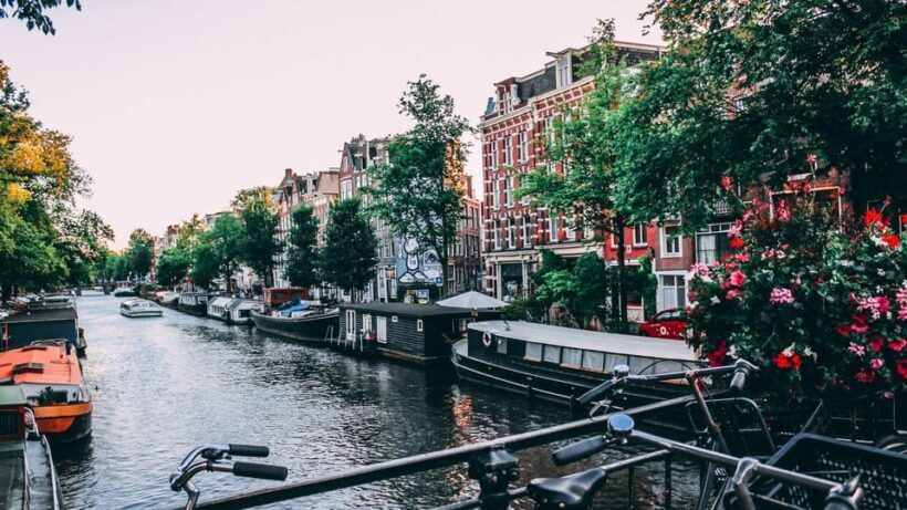 Best of Amsterdam: Private Walking Tour with a Local - Key Points