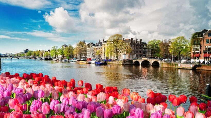 Best of Amsterdam: Private Walking Tour with a Local - Final thoughts