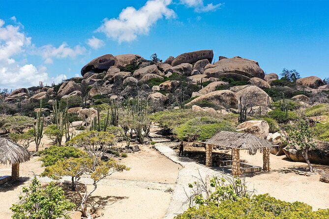 Best of Aruba by Bus - Price and Overall Value