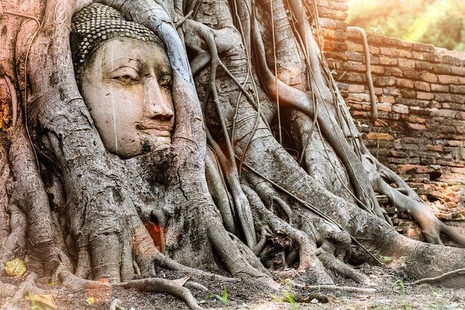 Best of Ayutthaya Private Guided Day Tour - Introduction: A Well-Rounded Way to See Ayutthaya