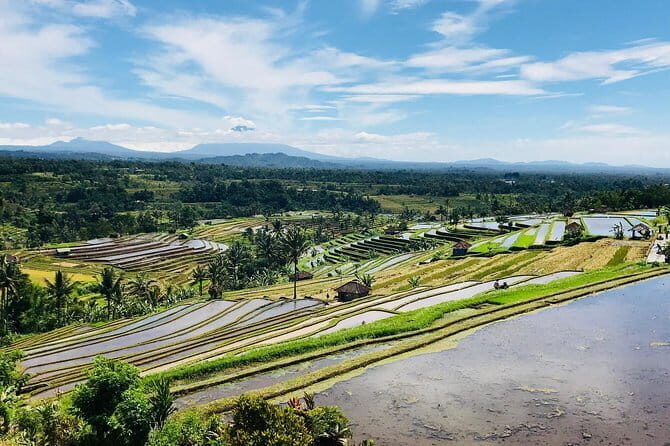 Best of Bali 5 Days Around Bali Tours - Why This Tour Offers Great Value
