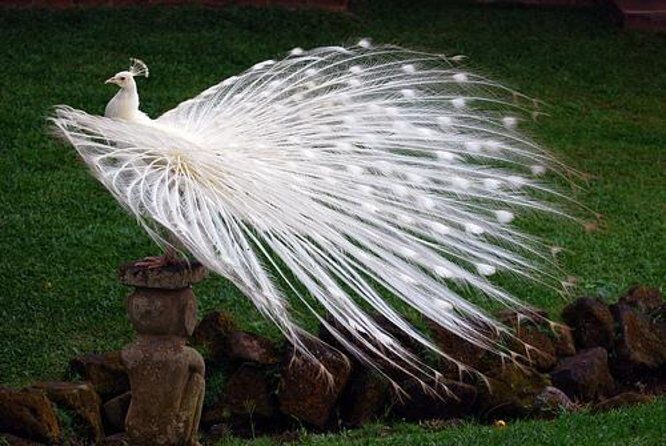 Best of Bali in 3 Days - Private Tour Package - The Fine Print: What the Tour Covers