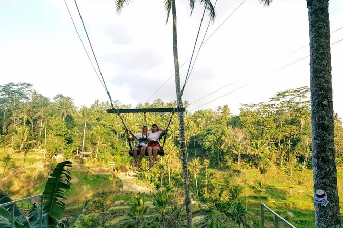 Best of Bali Jungle Swing with Ubud Sightseeing Tour - Adventure and Leisure: The Jungle Swing & Waterfall