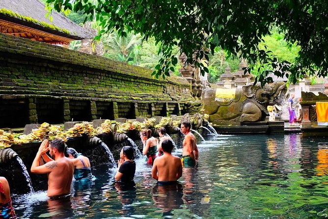 Best of Bali Jungle Swing with Ubud Sightseeing Tour - The Sum Up