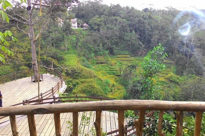 Best of Bali : Ubud, Rice terrace, Tanah lot temple with Lunch - What’s Included and What to Keep in Mind