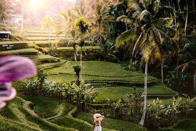 Best of Bali Ubud Sightseeing All Inclusive Private Tour - A Detailed Look at the Itinerary